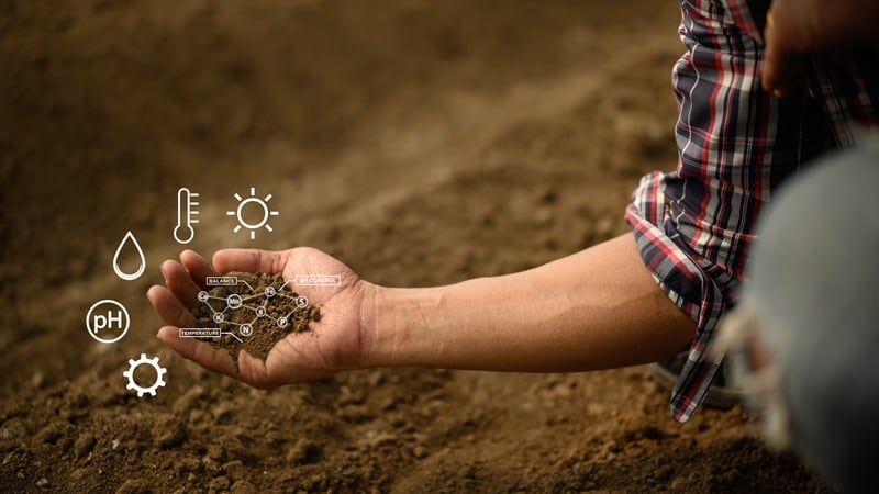 How farmers can save on fertiliser expenses by soil testing